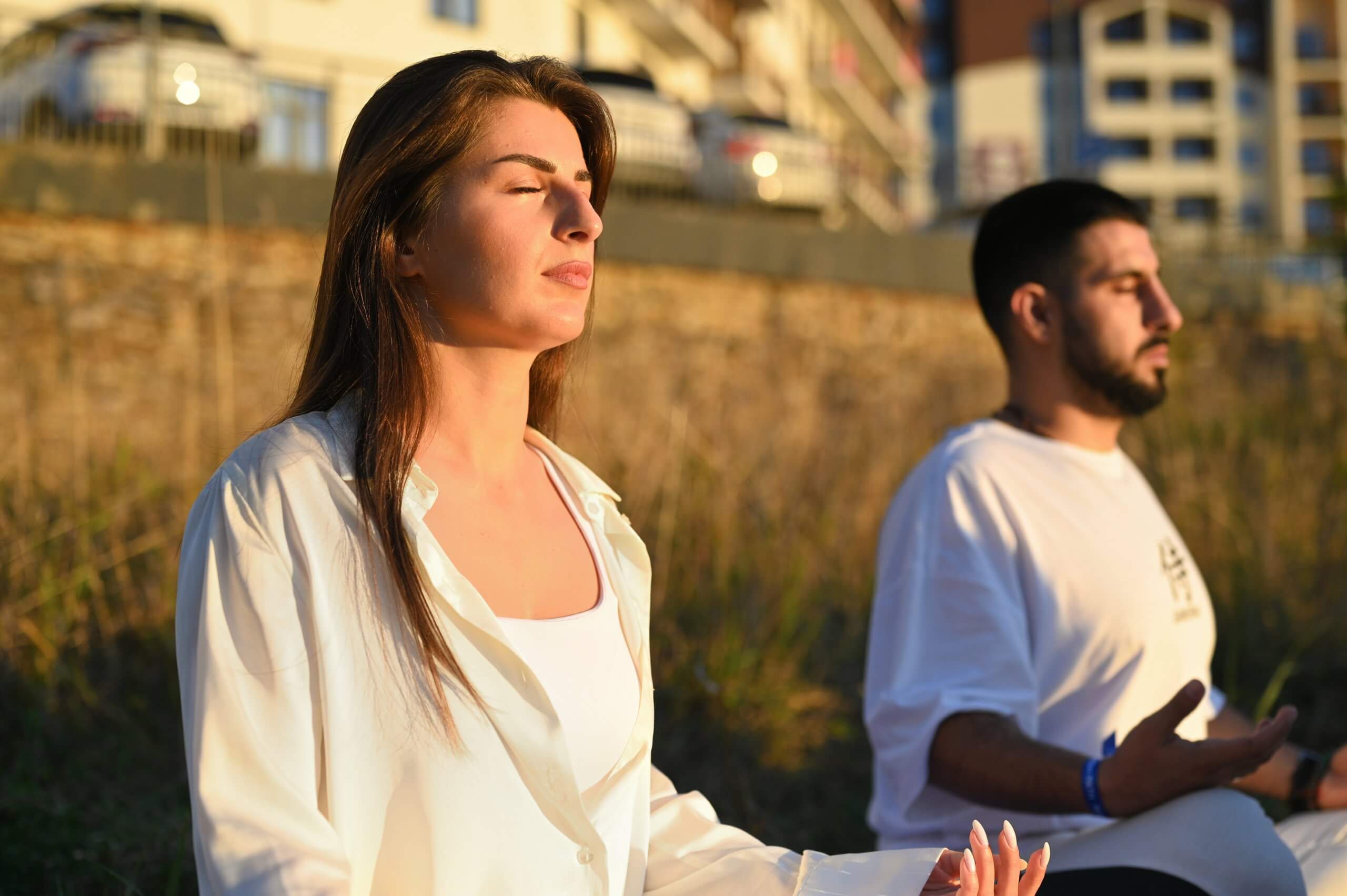 Alchemy of the body - methods of internal and external transformation ...